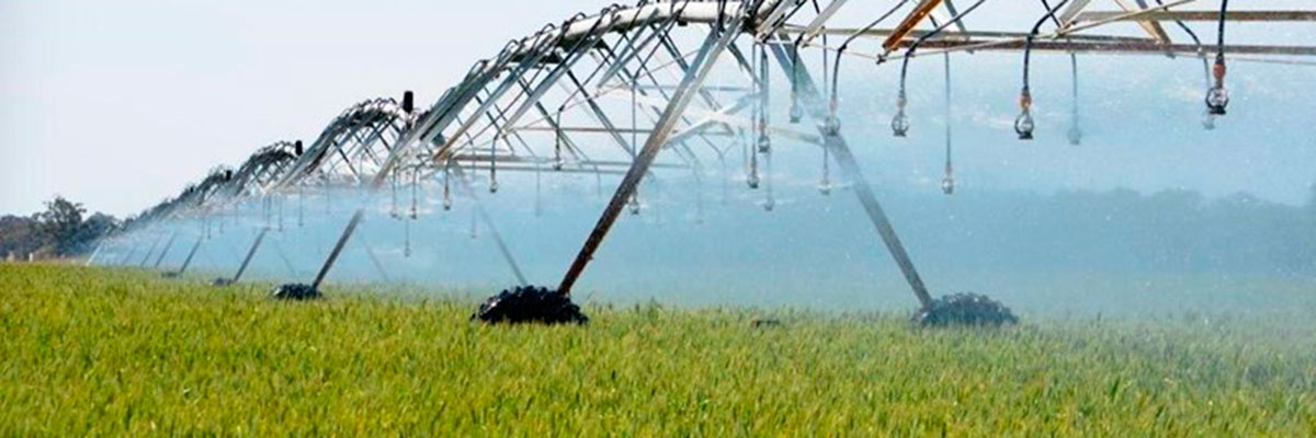 WE PROVIDE AMAZING SERVICES TO HELP BETTER FUTURES